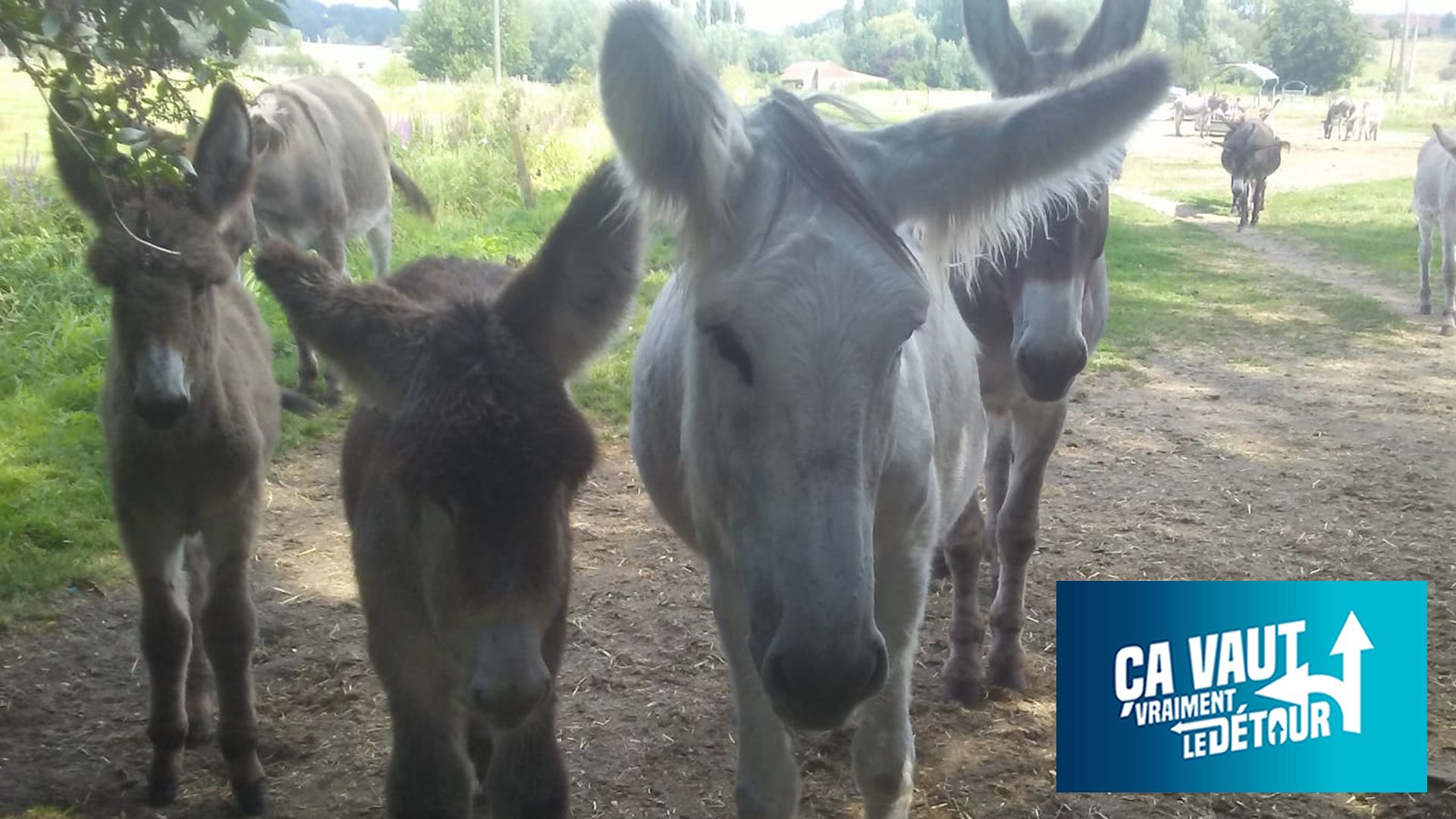 Ca vaut vraiment le Détour! - Votre podcast bonne humeur, jeu et ...