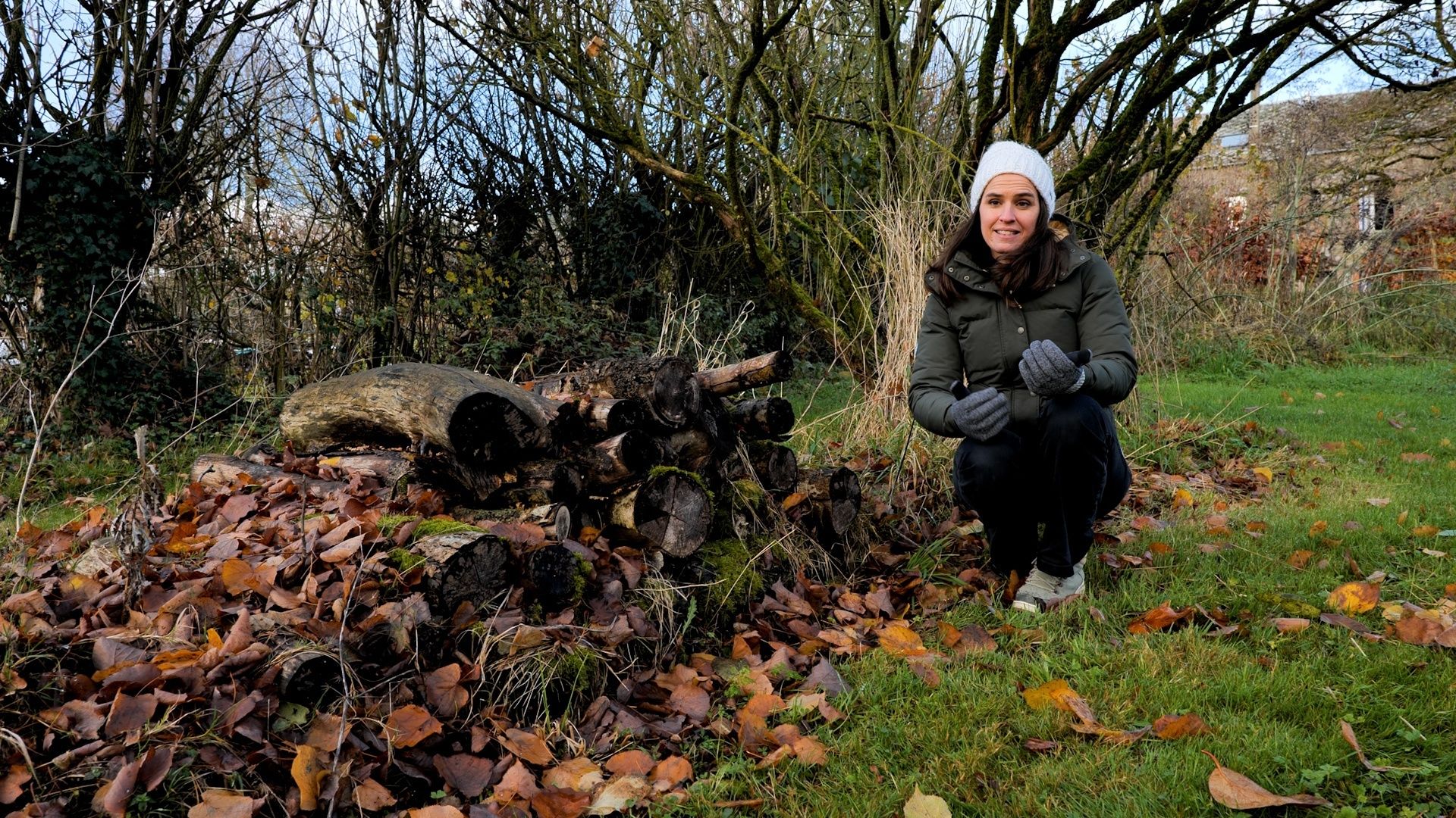 Entrez c'est tout vert ! Hibernation ou hivernation : quelle est la ...