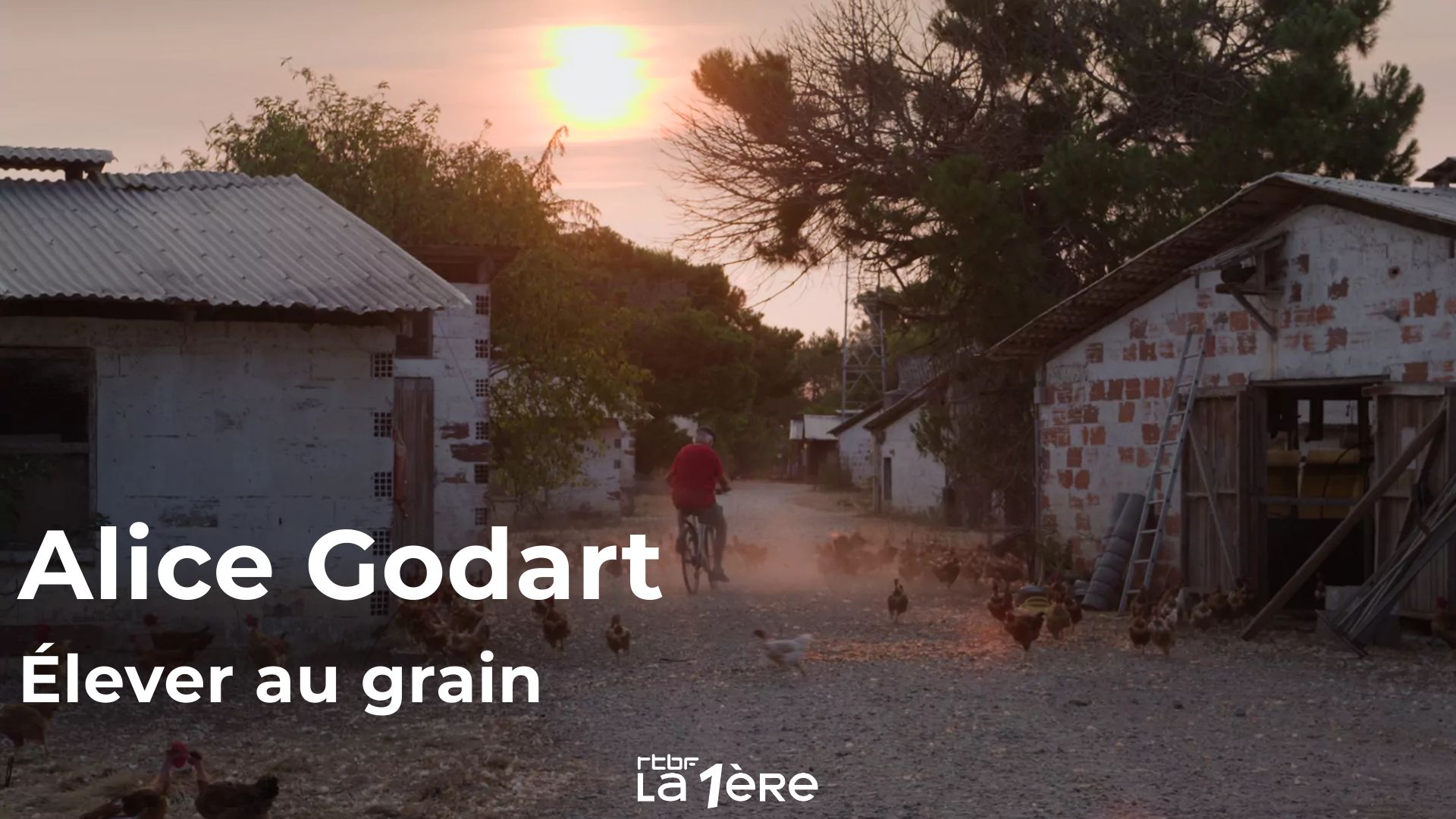 L'invité d'Entrez sans frapper - Alice Godart et "Élever au grain" : Un ...