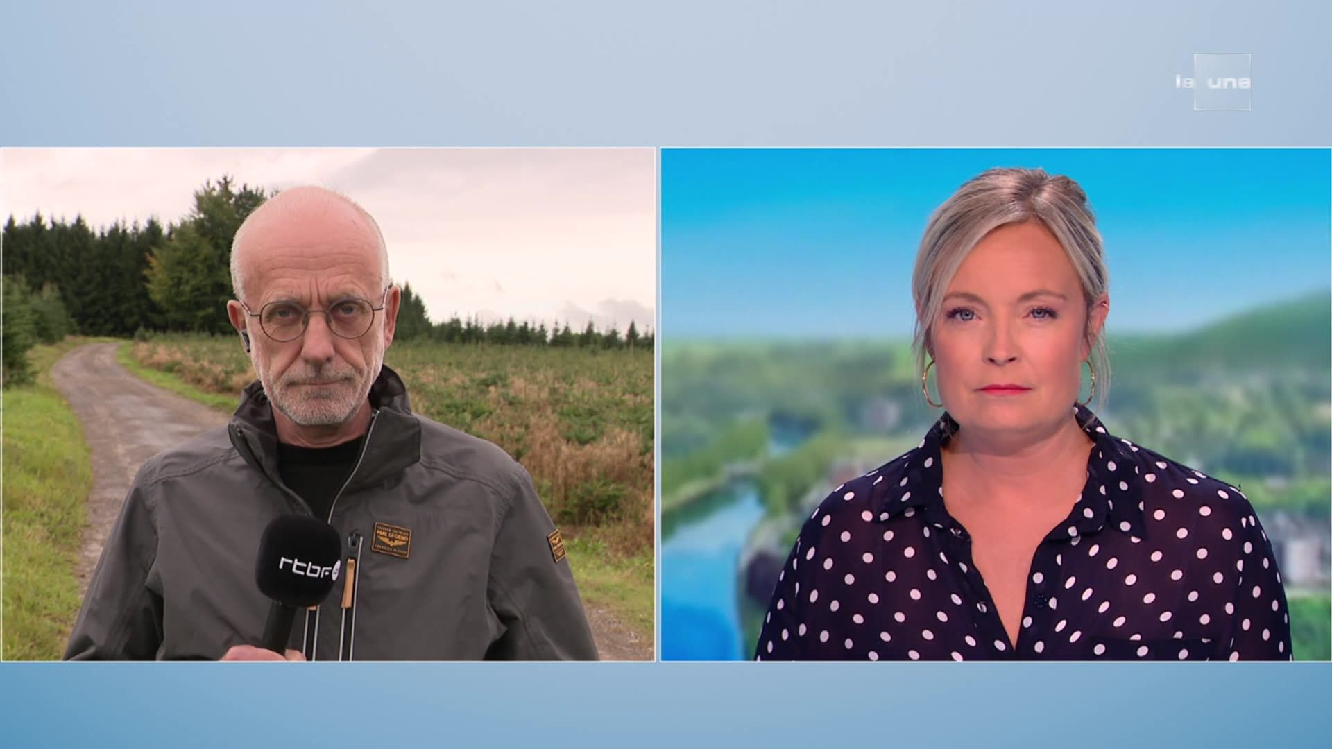 Un couple de loups en foret d'Anlier - RTBF Actus