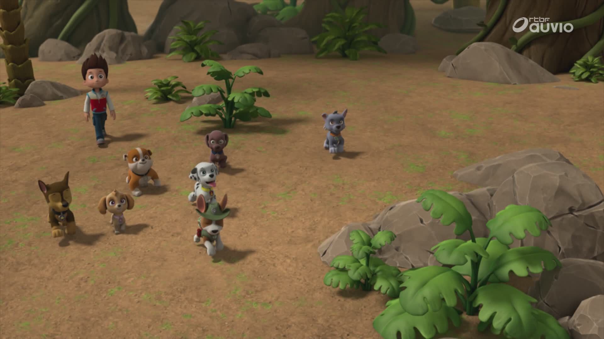 Pat' Patrouille - Le sauvetage du mini panzé - Auvio