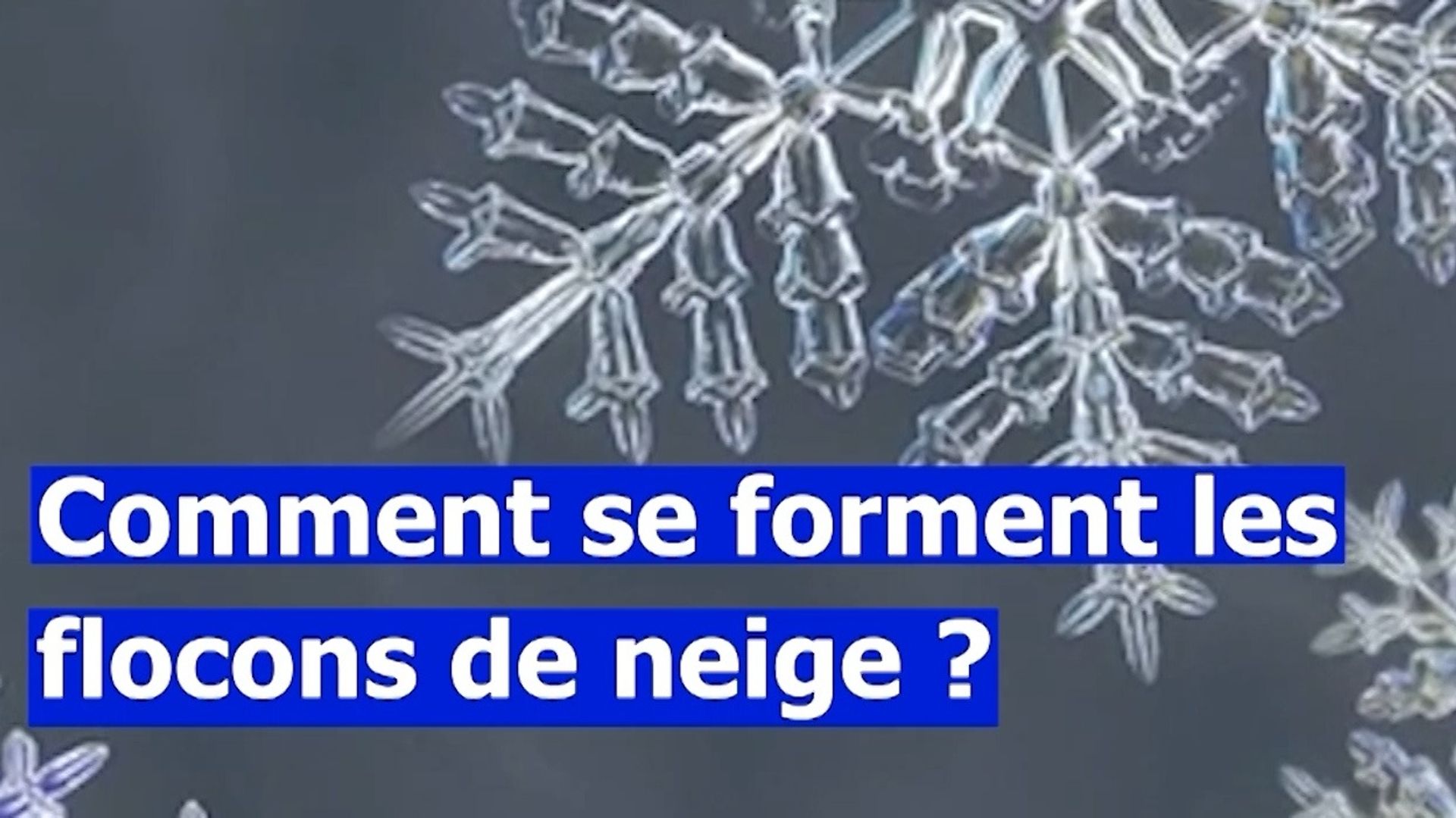Comment se forment les flocons de neige ? - WOW - Auvio