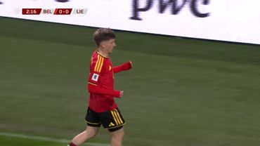 Les Diables Rouges se défoulent sur le Liechtenstein et actent (enfin ...