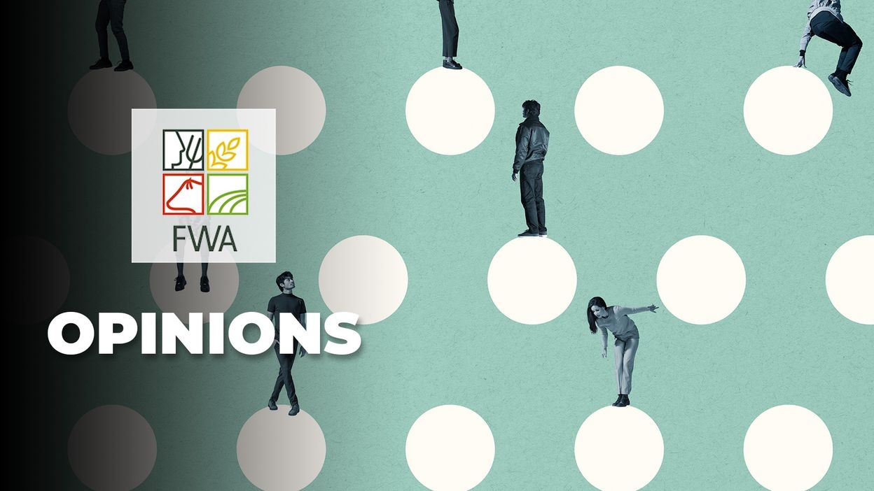 Opinions, FWA - Auvio