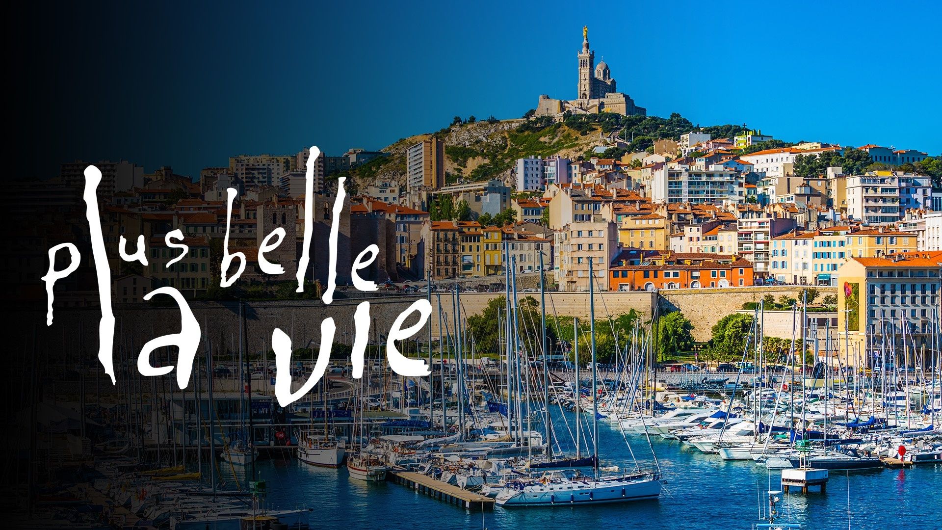 Plus belle la vie - Auvio