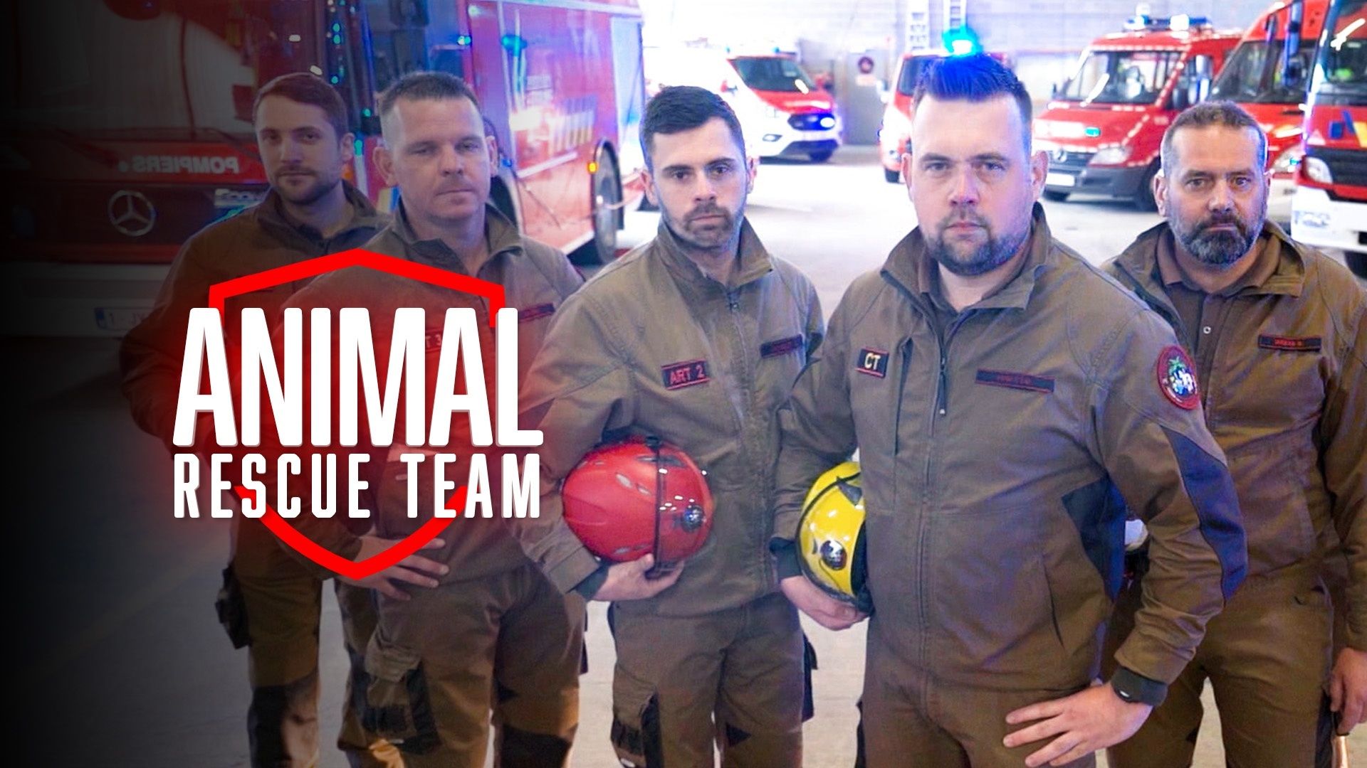 Animal Rescue Team - Auvio
