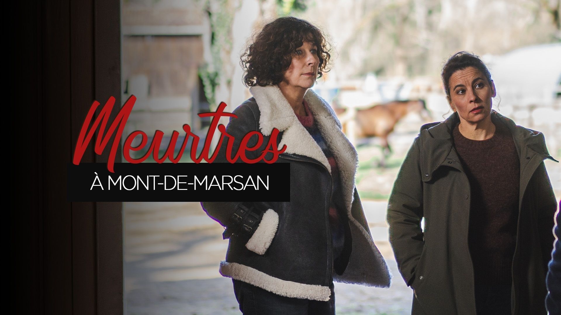 Accueil Films Téléfilm Meurtres à Mont-de-Marsan