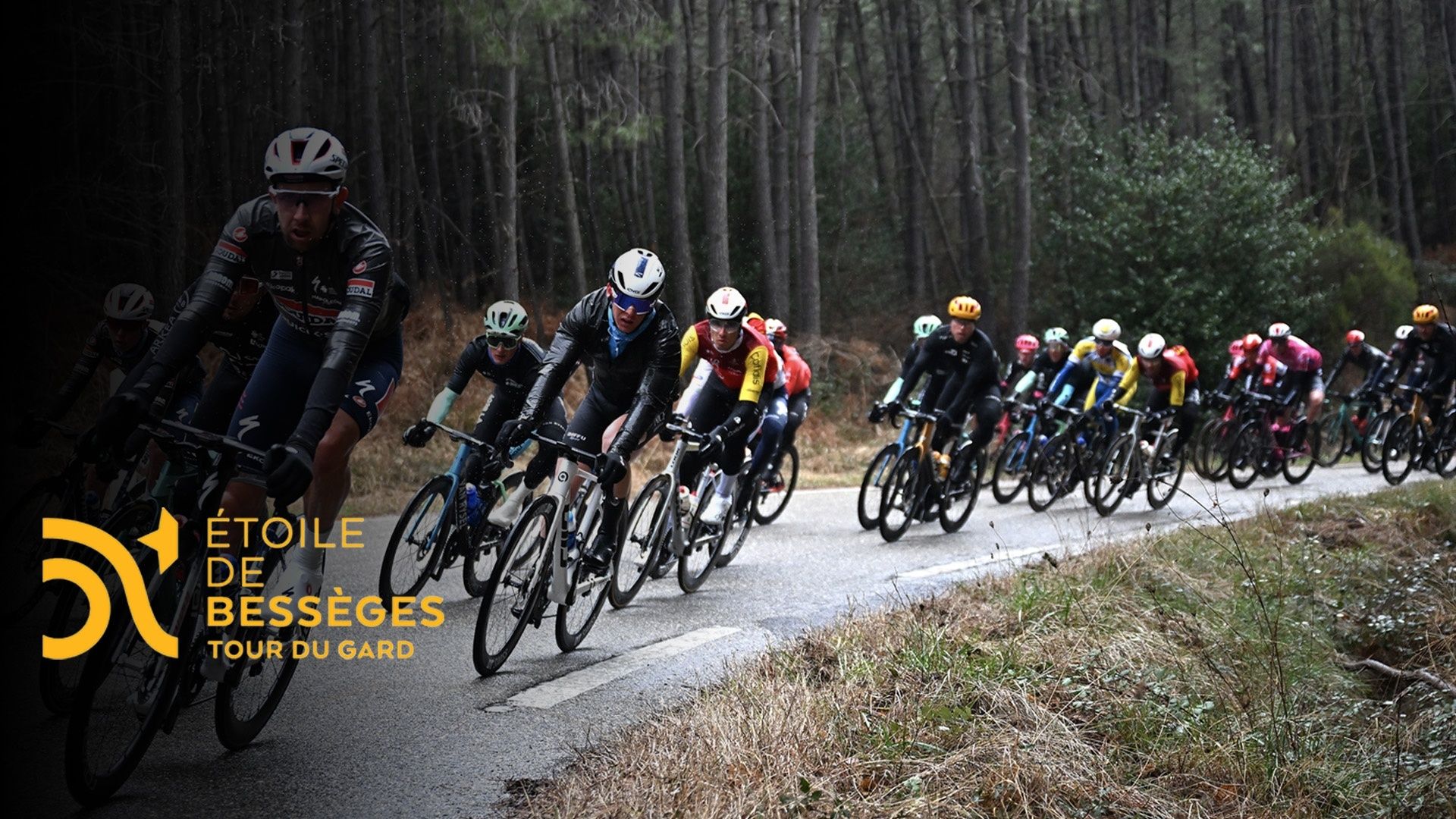 Cyclisme - Etoile de Bessèges - Auvio